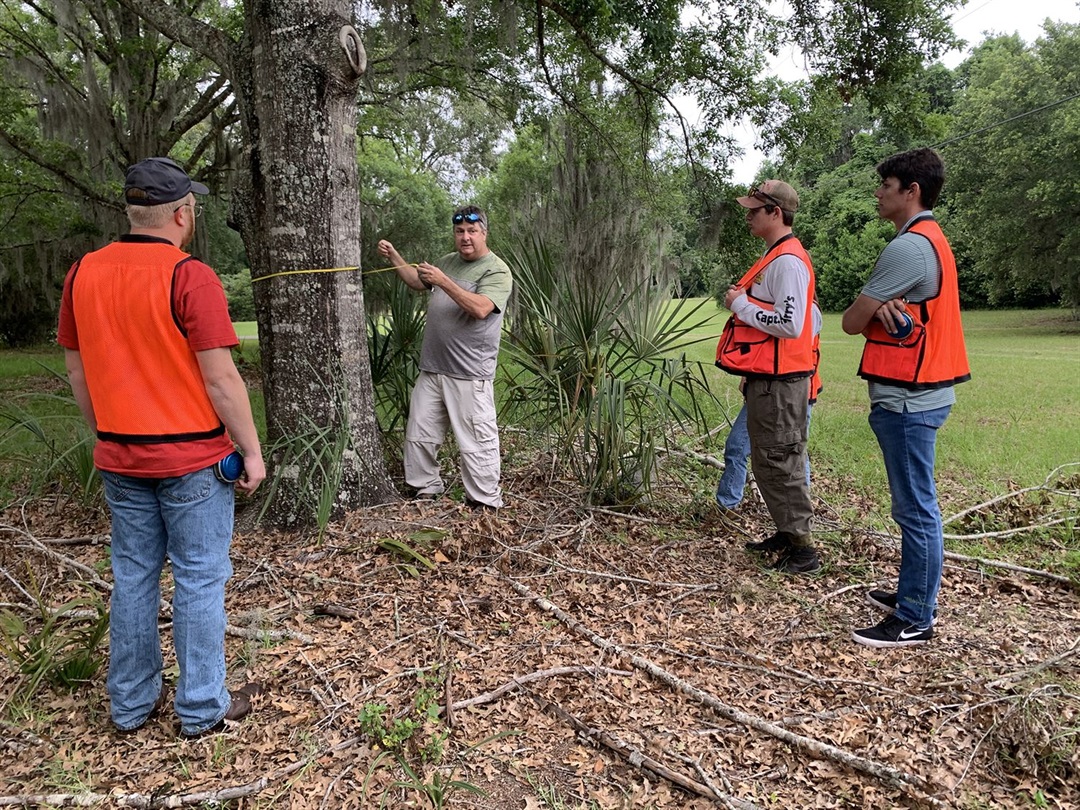 University of Florida researchers begin Gainesville tree inventory ...