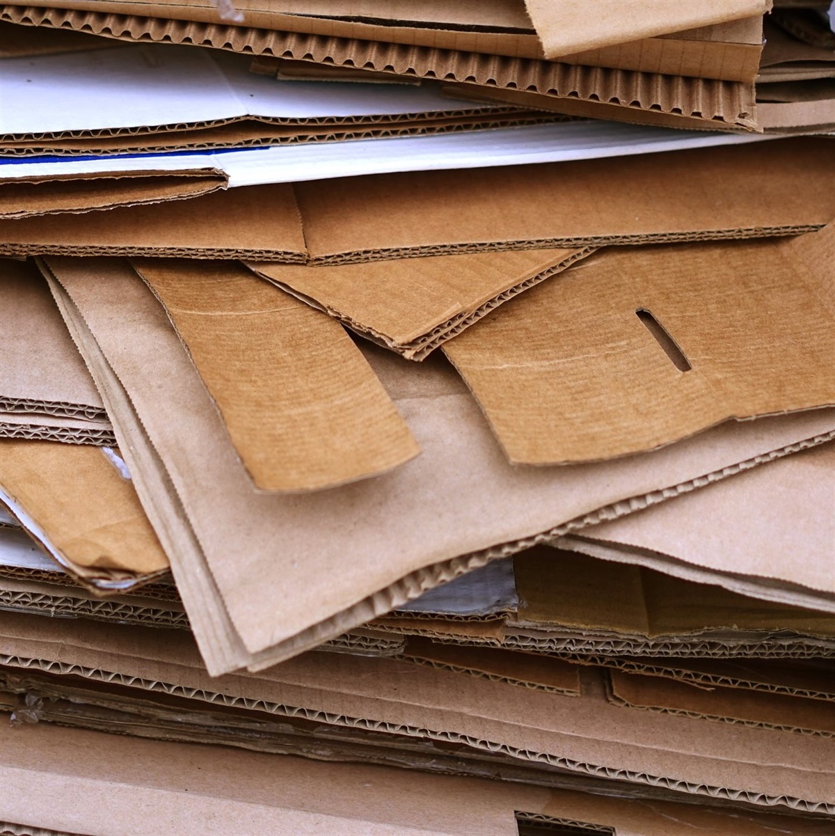 Keep Your Cardboard Clean Welcome to the City of Gainesville